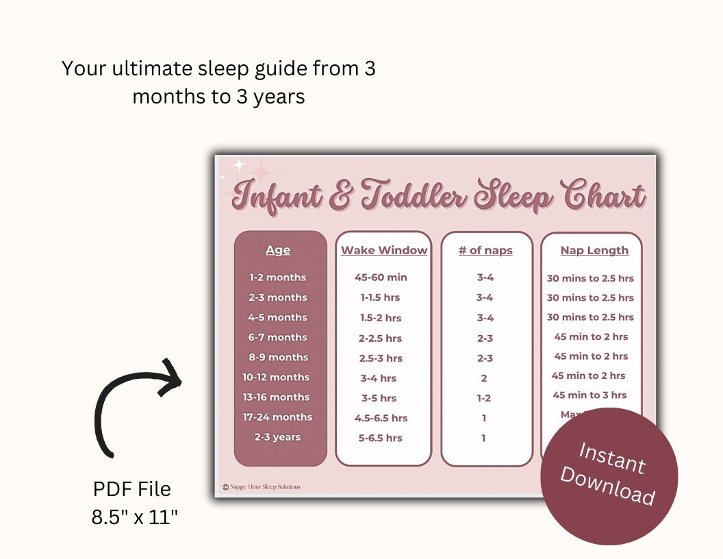 Infant & Toddler Sleep Schedule - Etsy