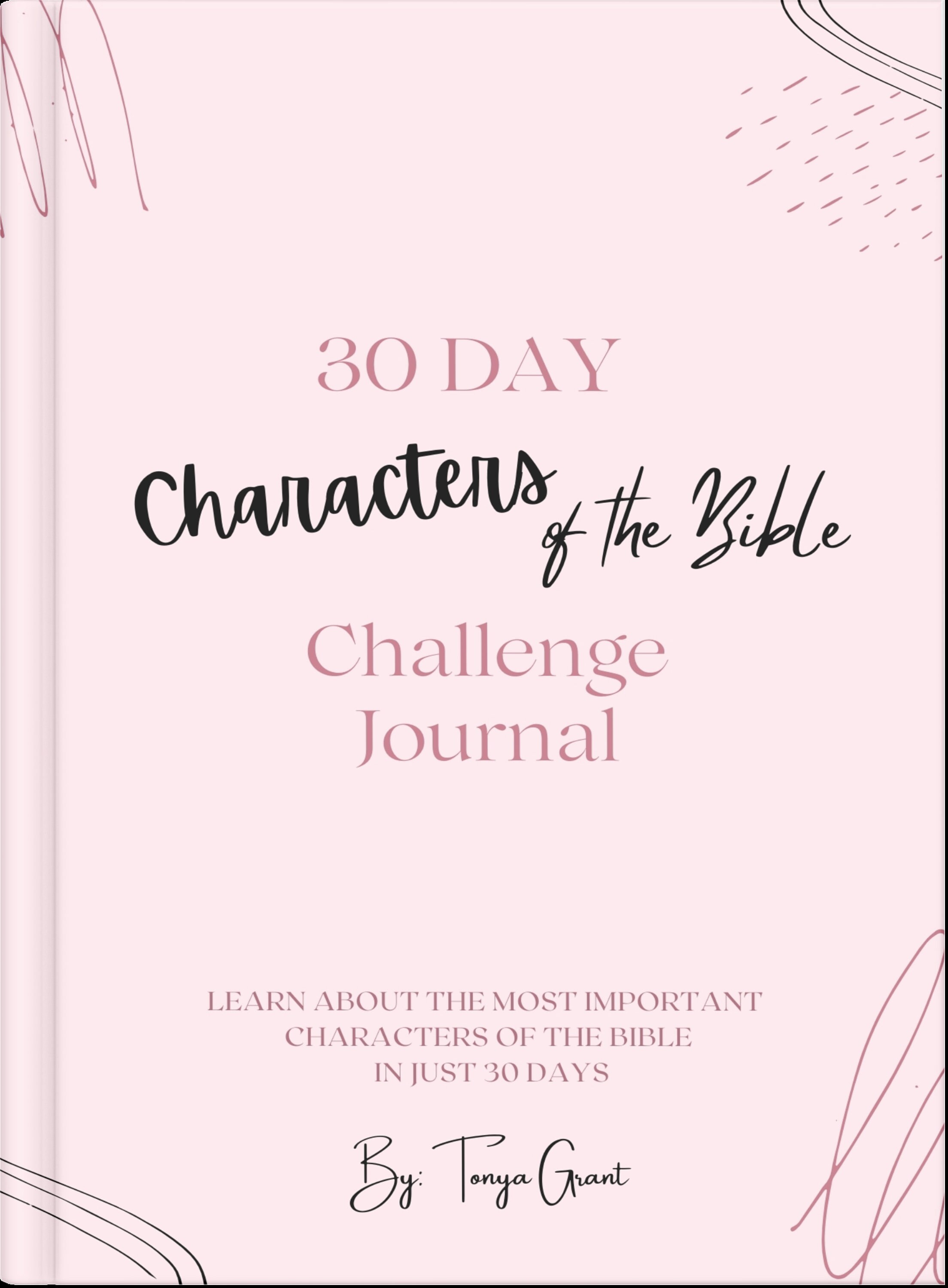30 Day Characters of the Bible Challenge Journal Perfect for New ...