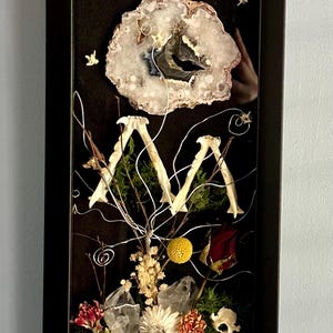 As Above, so Below Shadow Box With Snake Vertebrae, Jawbones, and ...