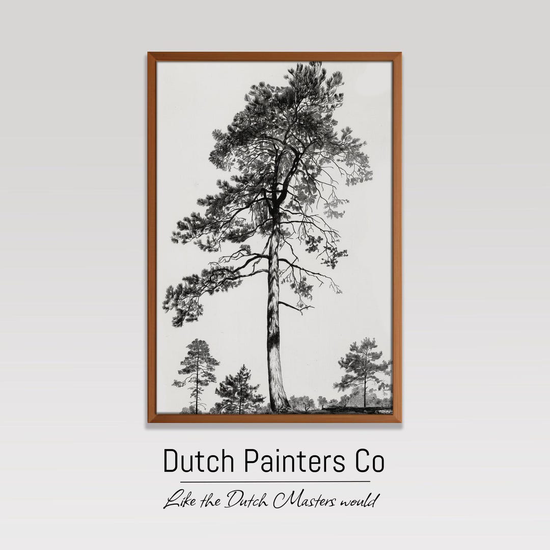 Vintage Pine Tree Forest Sketch Black and White Nature Art Digital ...