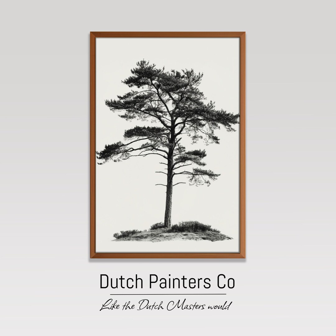 Vintage Pine Tree Illustration, Nature Digital Print, Black and White ...