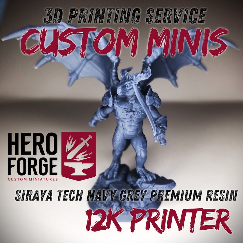 Hero Forge Custom Miniatures - Etsy