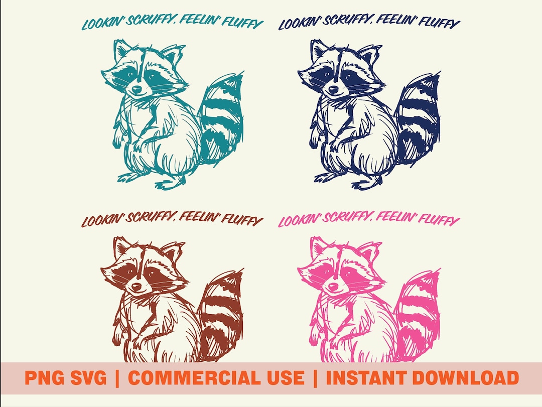 Funny Raccoon PNG SVG Digital Download, I'm Not Arguing I'm Just ...