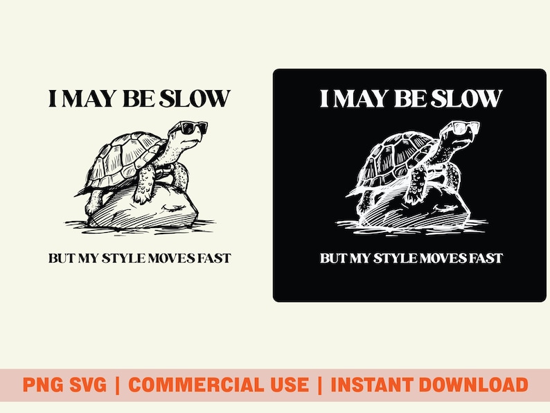 Turtle Sitting on Rock PNG SVG, I May Be Slow but My Style Moves Fast ...