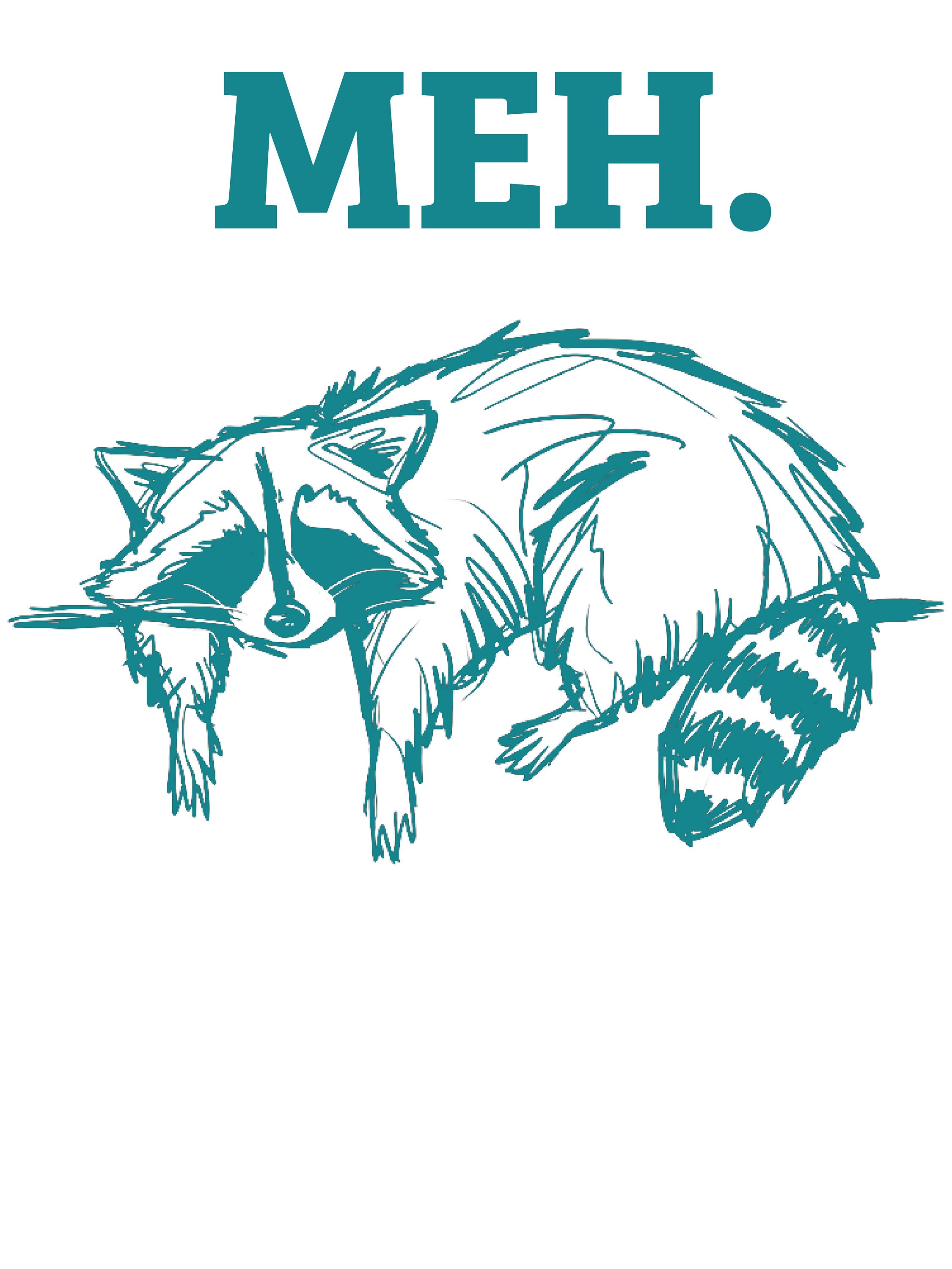 Raccoon Meh PNG SVG Design Digital Download, Meme Sublimation PNG for ...