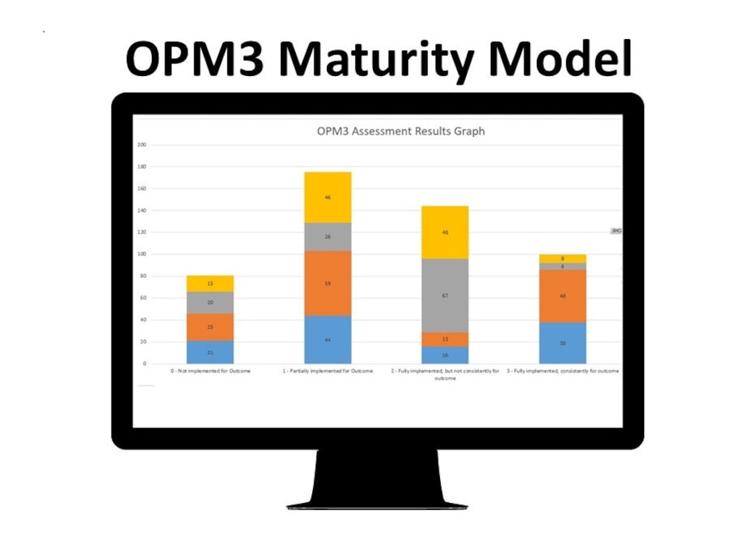OPM3 Organizational Project Management Maturity Model Assessment PMI APM PRINCE2 - Etsy