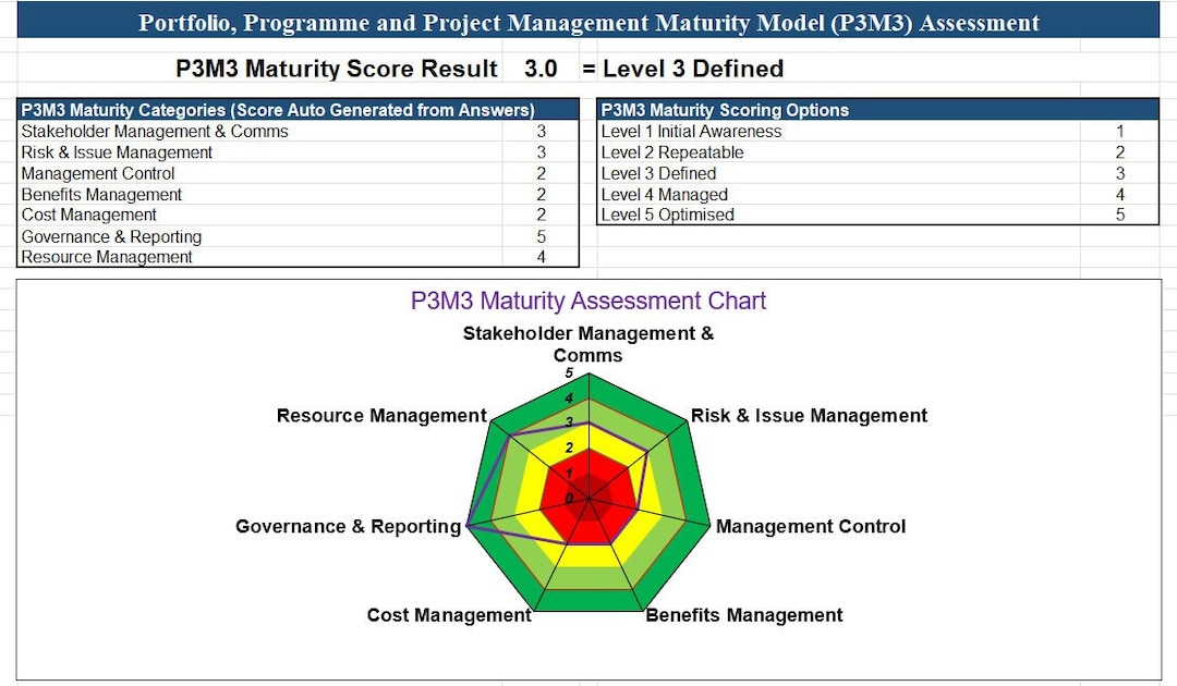 P3M3 PMO Maturity Model Assessment Tool excel PMI APM PRINCE2 - Etsy
