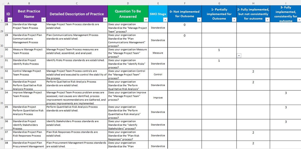 OPM3 Organizational Project Management Maturity Model Assessment PMI ...