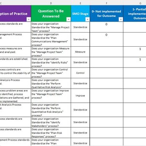 OPM3 Organizational Project Management Maturity Model Assessment PMI ...