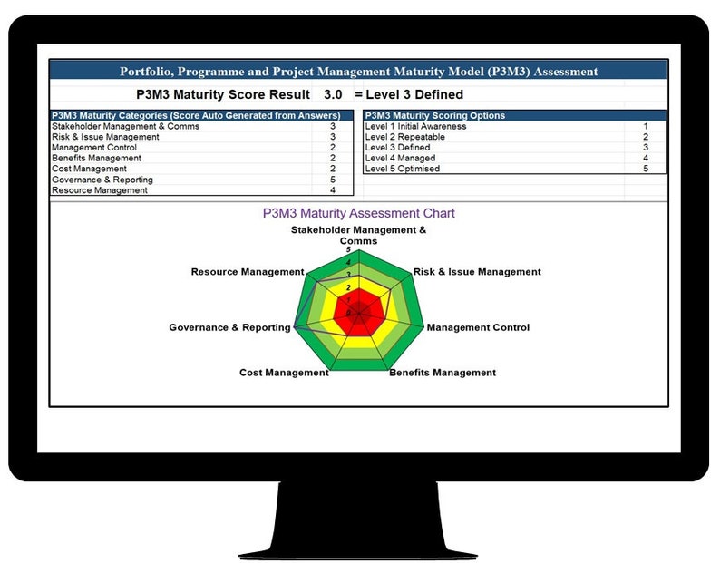 P3M3 Project Maturity Model Assessment Tool excel PMI APM PRINCE2 - Etsy