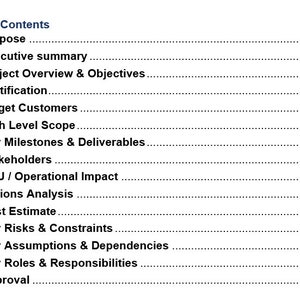 Project Charter PID Tor Brief (word) PMI APM PRINCE2 - Etsy