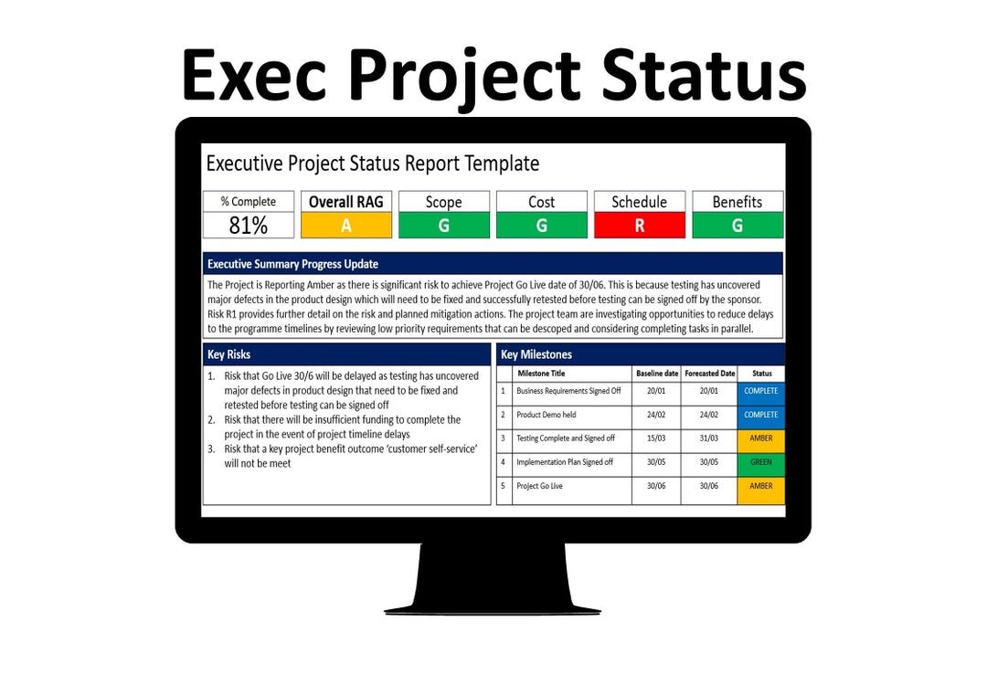 Executive Project Status Report Template PPT | Project Status Progress ...