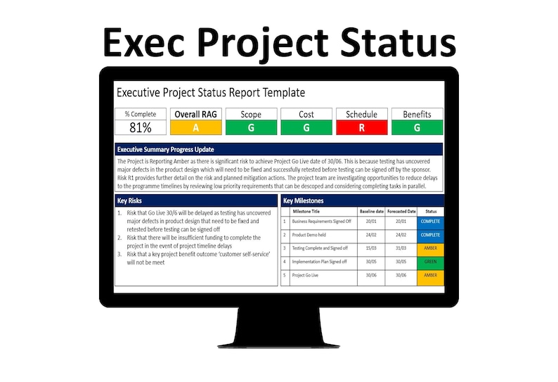 Executive Project Status Report Template PPT | Project Status Progress ...