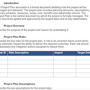 Project Management Plan PMP (word) PMI APM PRINCE2 - Etsy