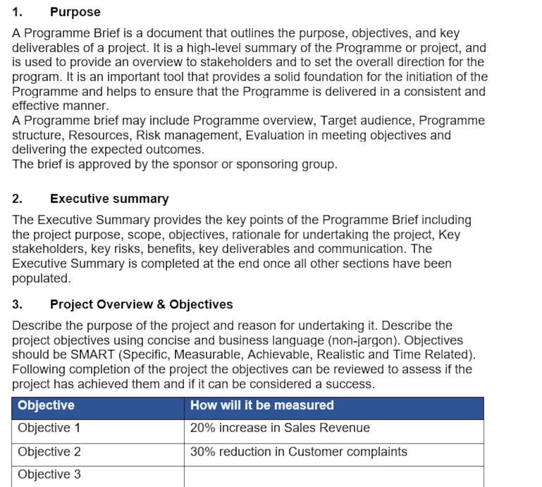 Project Charter PID Tor Brief word PMI APM PRINCE2 - Etsy