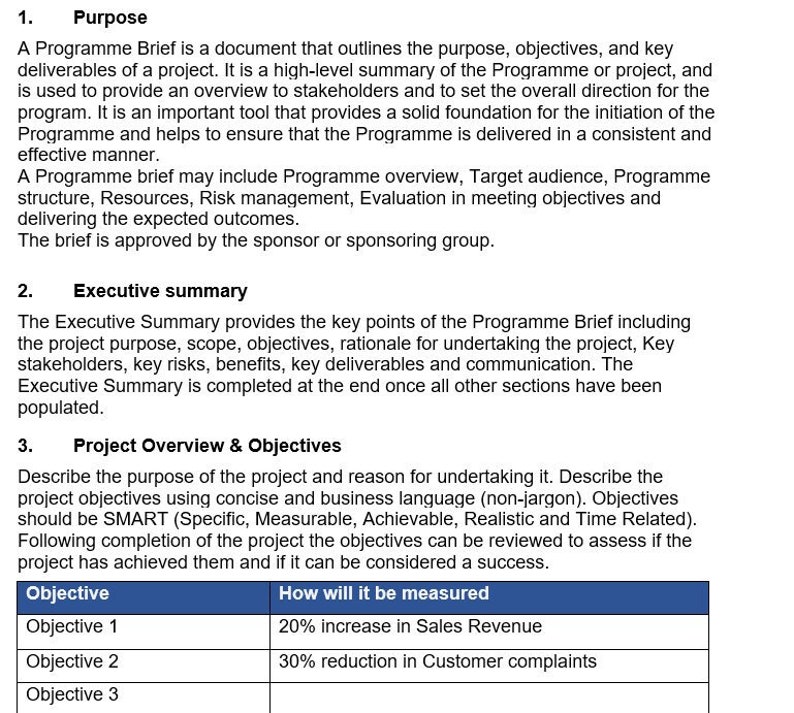 Project Charter PID Tor Brief (word) PMI APM PRINCE2 - Etsy