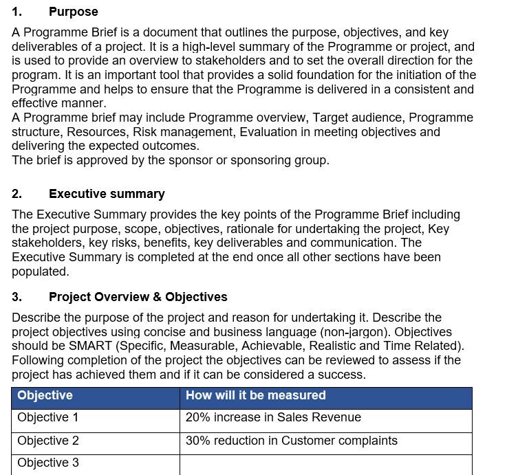 Project Charter PID Tor Brief (word) PMI APM PRINCE2 - Etsy