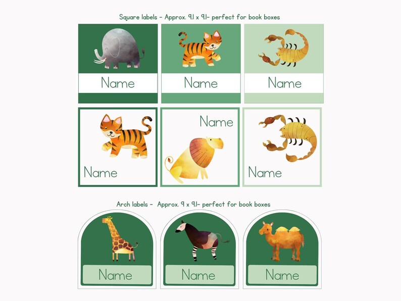 Jungle | Safari Green Classroom Labels | Classroom Décor - Etsy