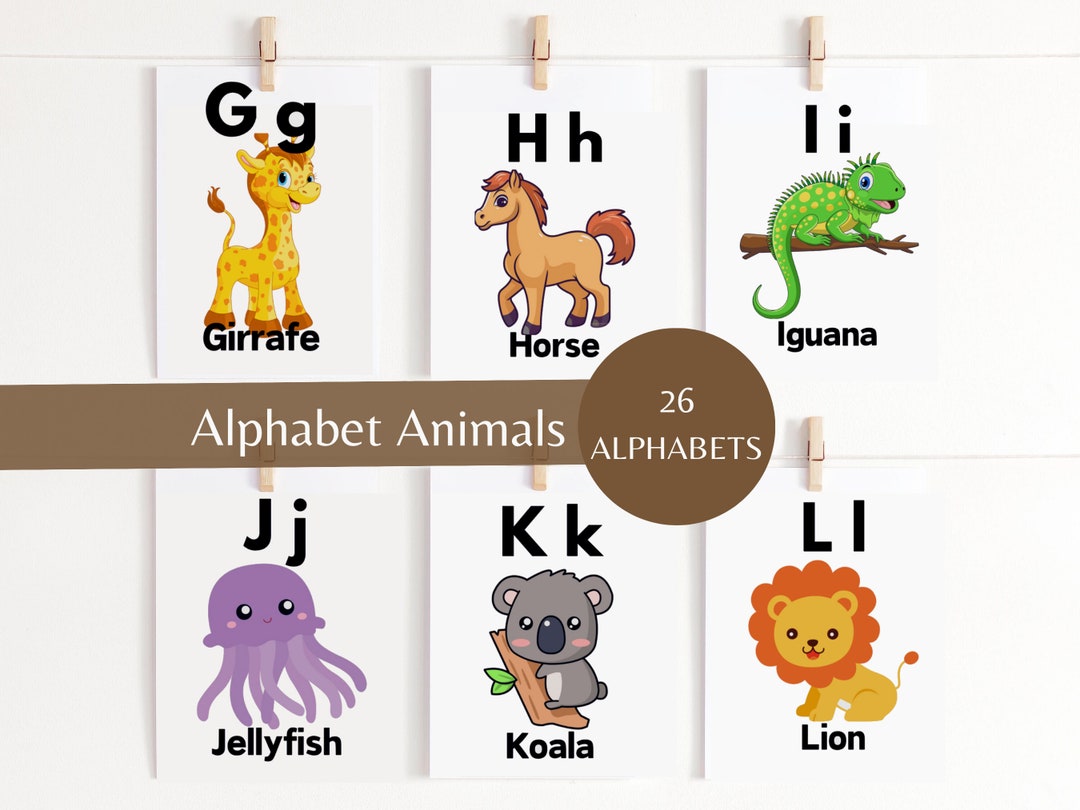 Alphabet Animals Flash Cards, Pre-school Cards, Rainbow Educational ...