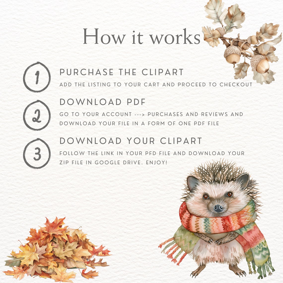 Fall Woodland Animals Clipart Watercolor PNG, Cute Autumn Fall Woodland ...