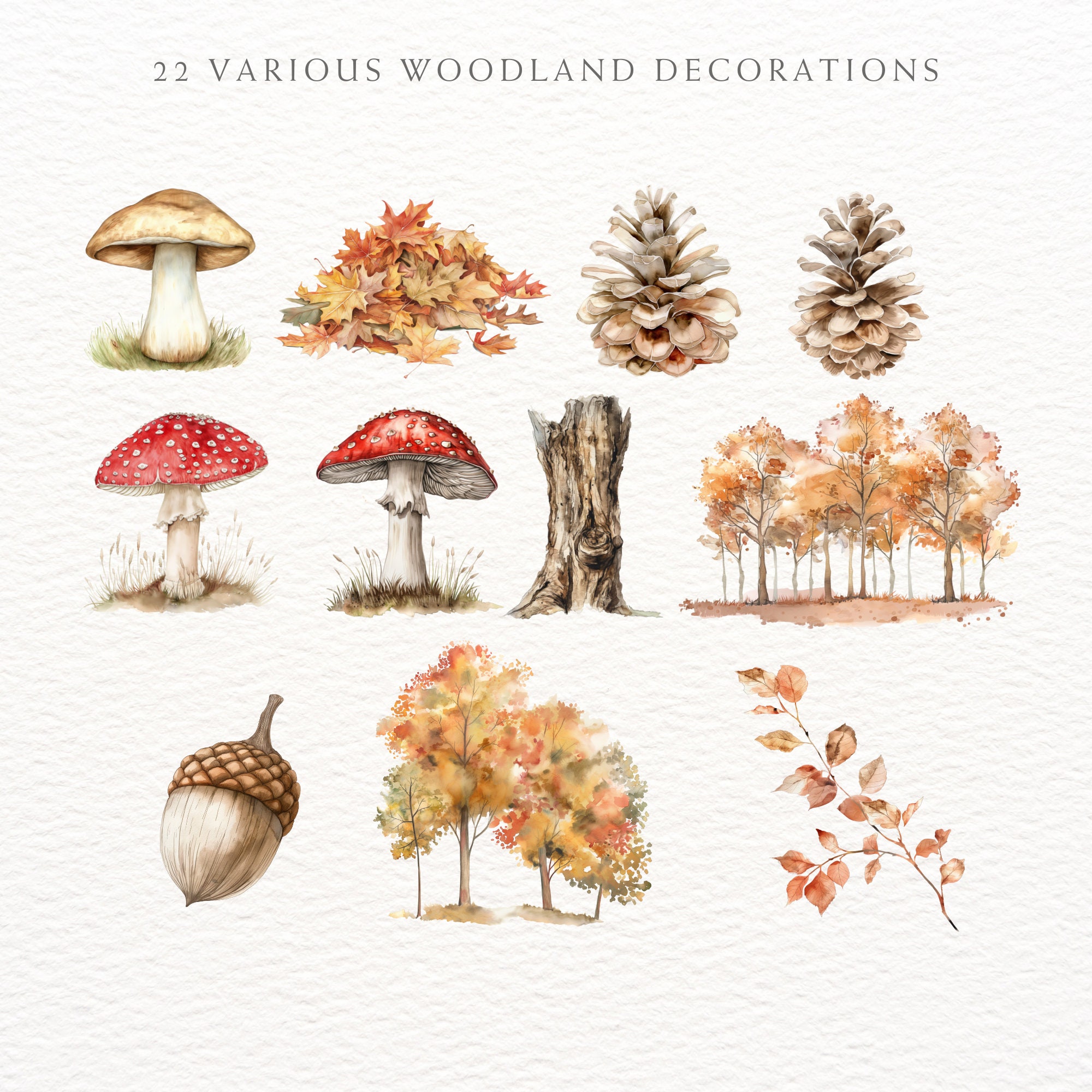 Fall Woodland Animals Clipart Watercolor PNG, Cute Autumn Fall Woodland ...