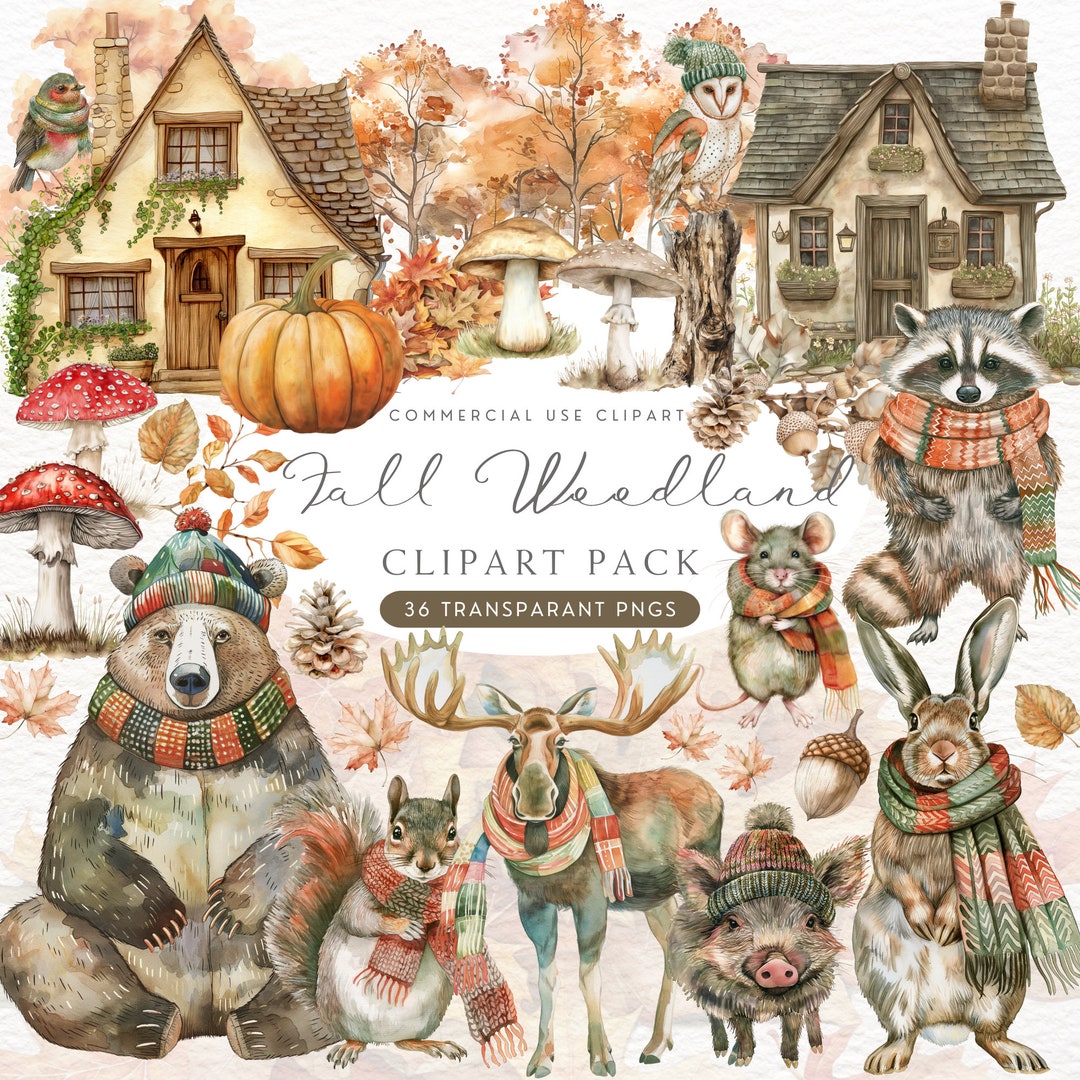 Fall Woodland Animals Clipart Watercolor PNG, Cute Autumn Fall Woodland ...