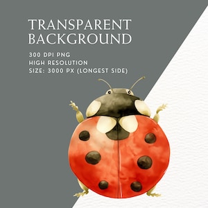 Cute Ladybug Clipart PNG Watercolor, Ladybug Graphics Watercolor Kids ...