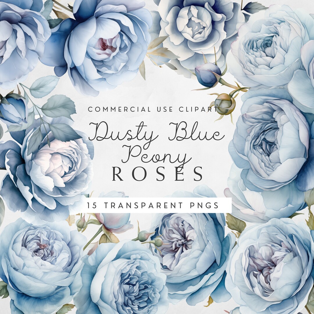 15 Watercolor Dusty Blue Peonies Clipart, Peony Flowers Clipart ...