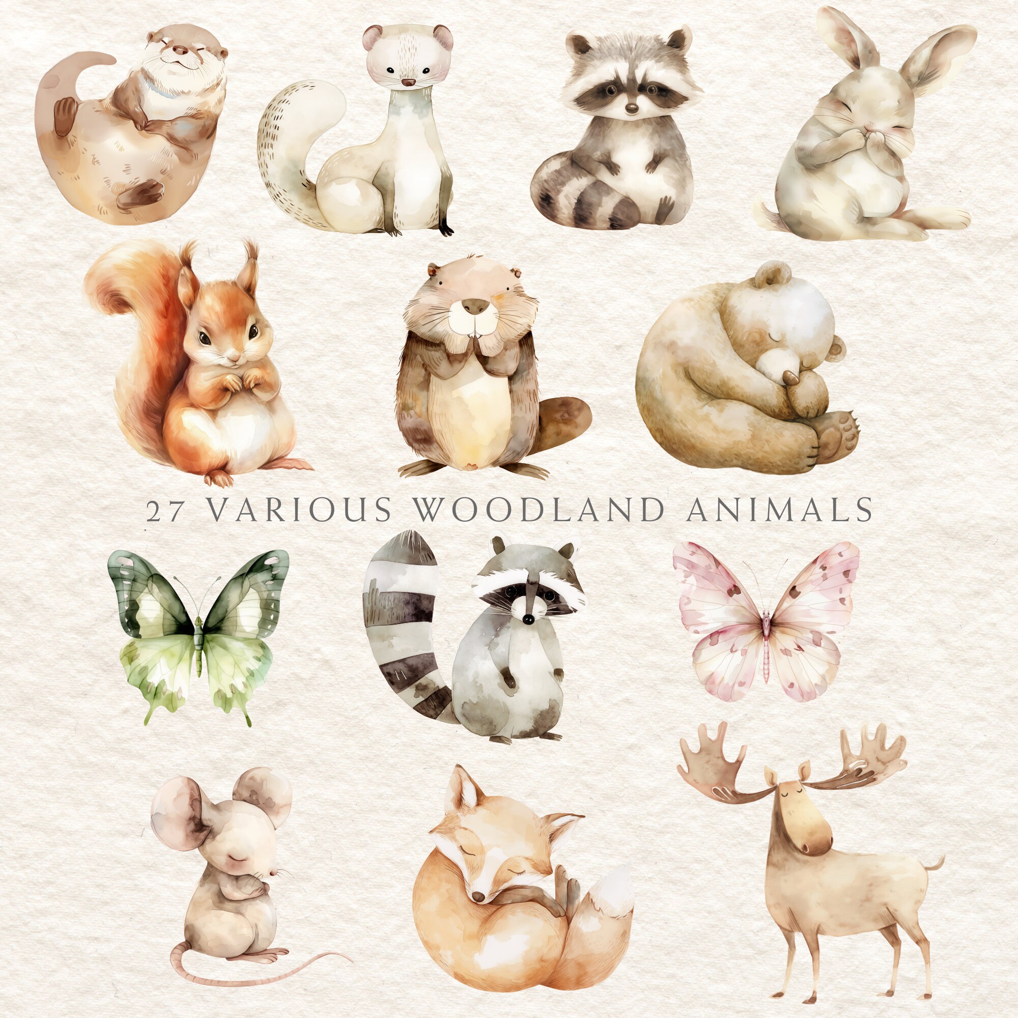 Boho Woodland Animals Clipart PNG Watercolor, Cute Woodland Animal ...