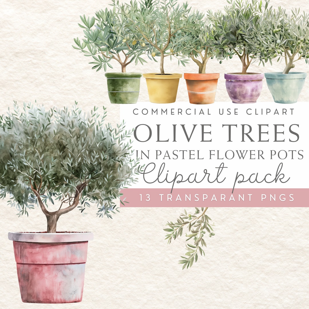 Olive Tree Clipart Watercolor, Olive Trees in Pastel Flower Pots ...
