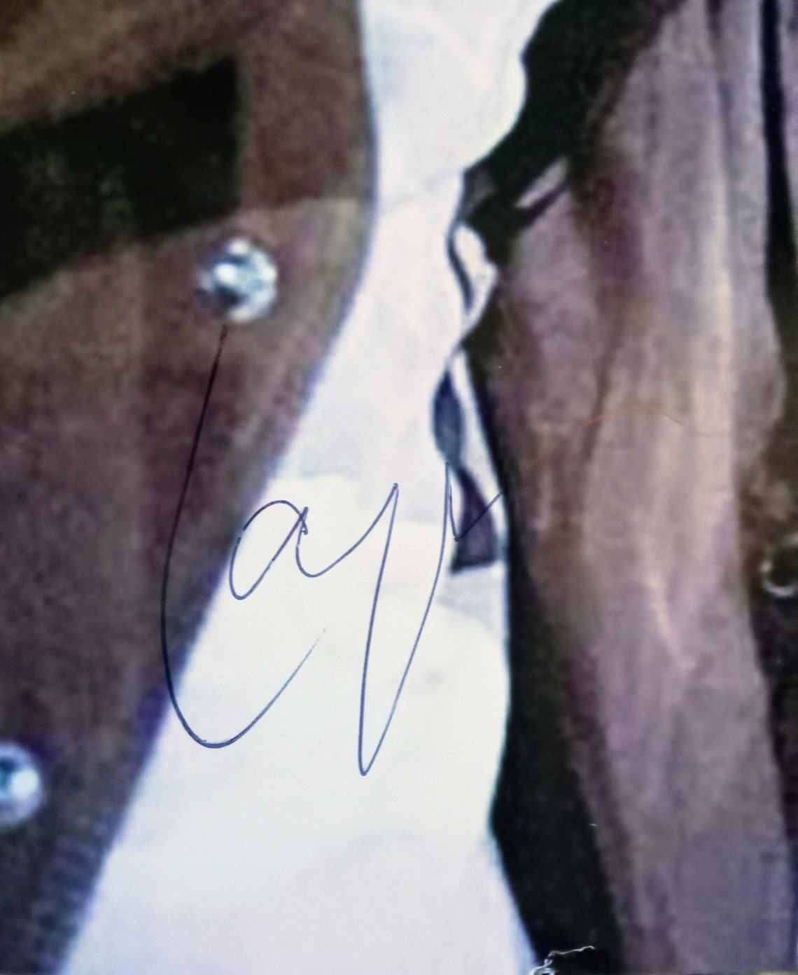 Layne Staley Autographed Signed Alice in Chains 8x10 Photo - Etsy