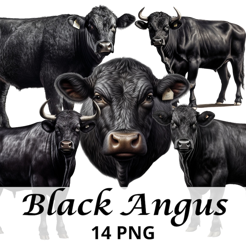 Black Angus Cow Stencil - Etsy