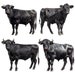 Black Angus Clipart, 14 PNG, Black Angus Png, Western Angus Png ...
