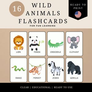 16 Wild Animals Flashcards | Flash Cards for Kids | Pre School Cards ...