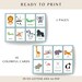 16 Wild Animals Flashcards | Flash Cards for Kids | Pre School Cards ...
