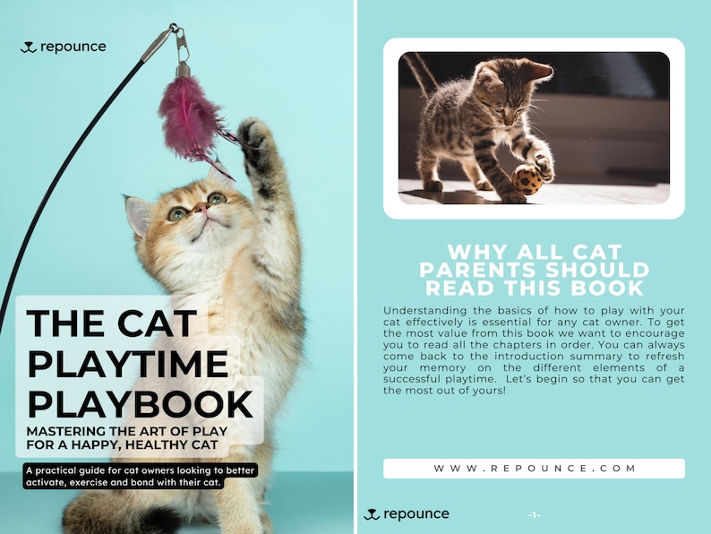 The Cat Playtime Playbook: Mastering the Art of Play for a Happy ...