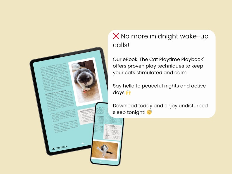 The Cat Playtime Playbook: Mastering the Art of Play for a Happy, Healthy Cat [e-book, PDF ...