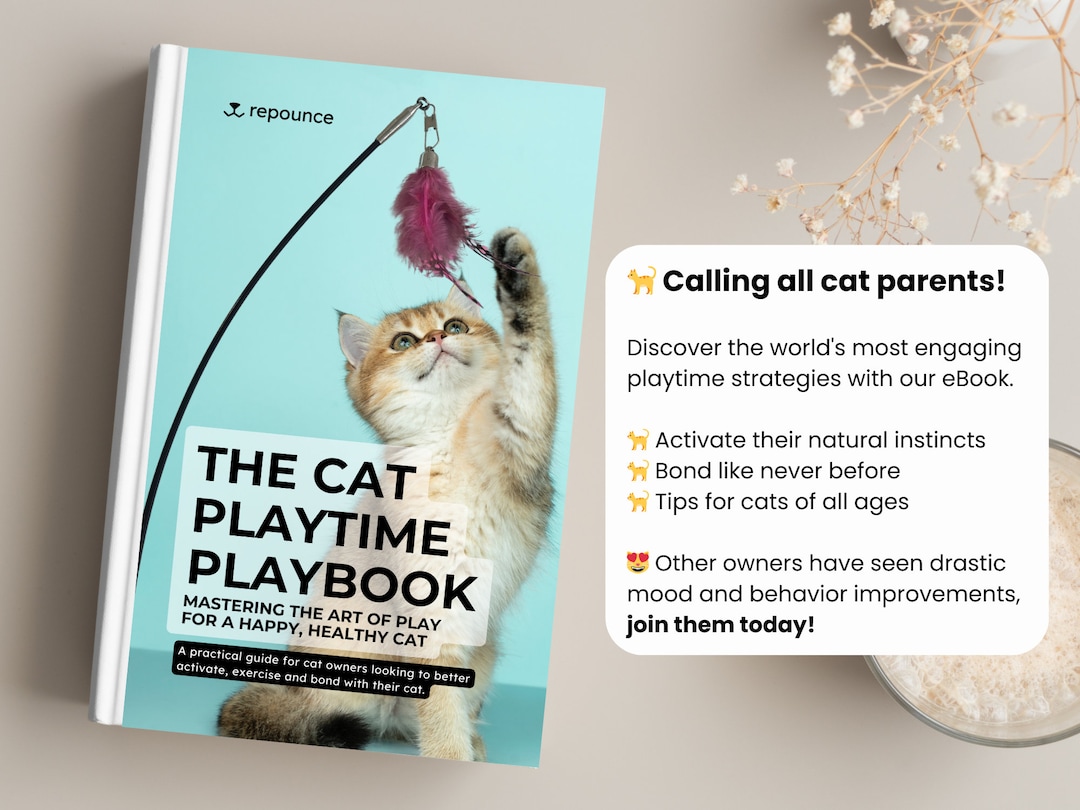 The Cat Playtime Playbook: Mastering the Art of Play for a Happy ...