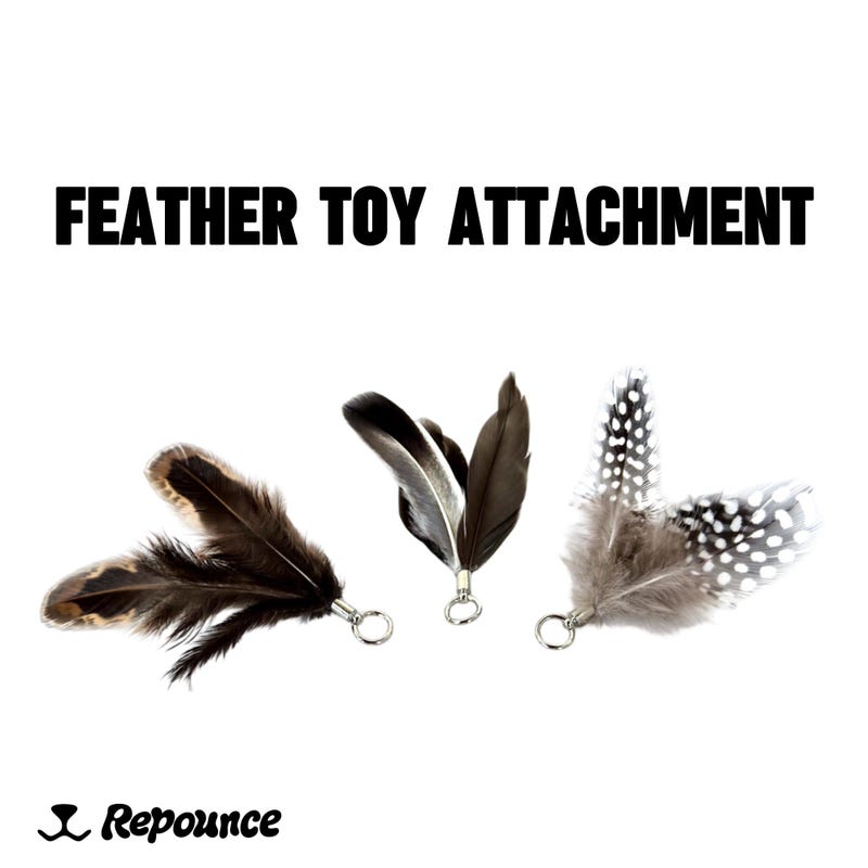 Cat Toy Stick Feathers - Etsy