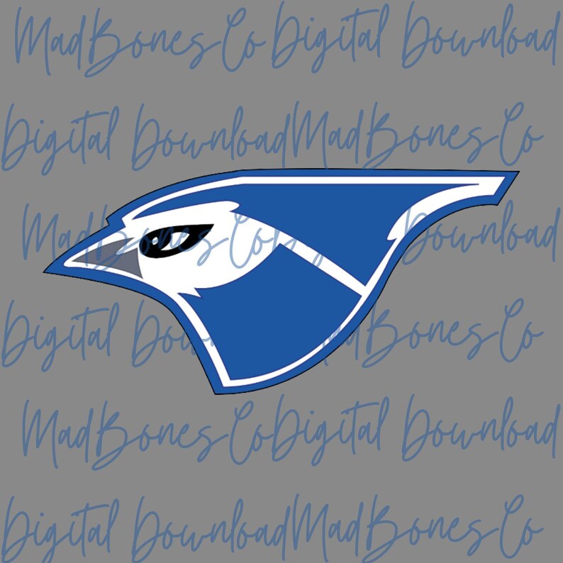 PORTA Bluejay Coquette School Spirit Design, Blue and White School ...