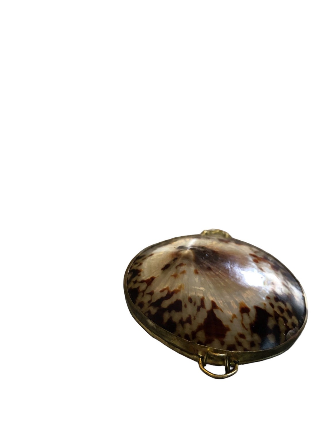 Vintage Seashell Coin Purse - Etsy