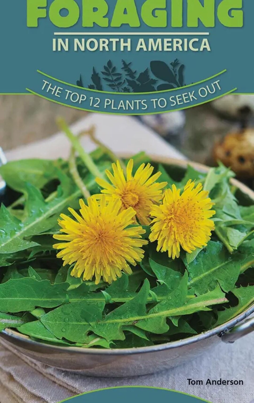 Wildflower Identification Pocket Guide - Etsy