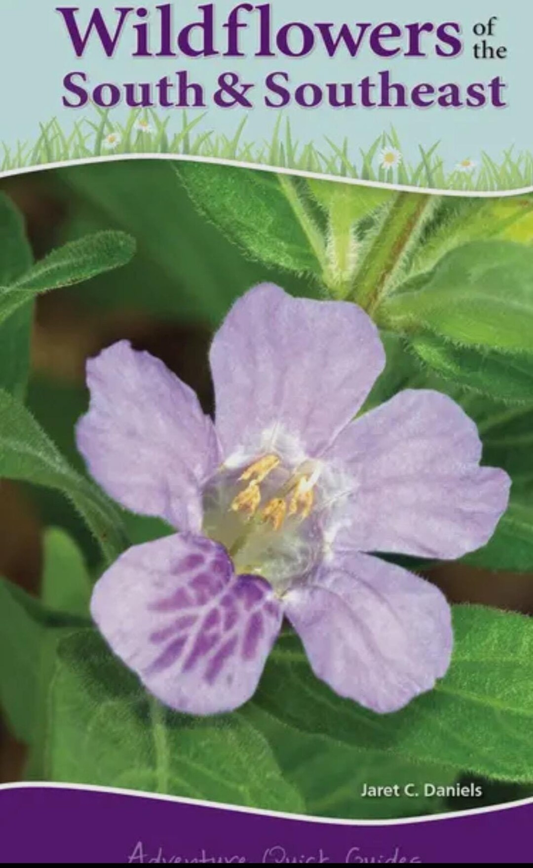 Wildflower Identification Pocket Guide - Etsy