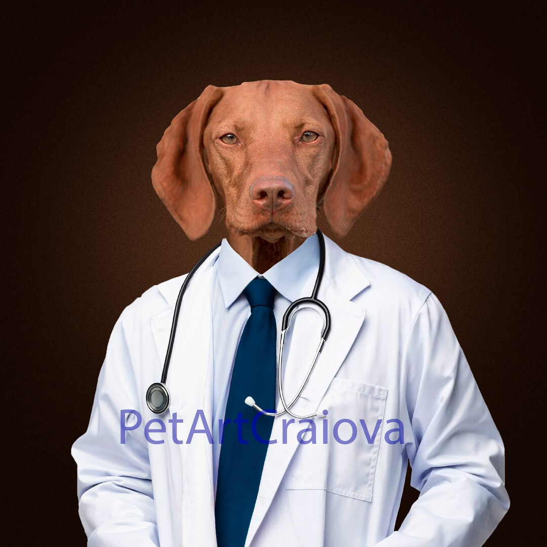 Vizsla Dog in Medical Doctor Costume, Custom Dog Portrait From Photo ...