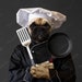 Pet Portrait From Photo, Chef Pet, Custom Dog Portrait, Cat Portrait ...