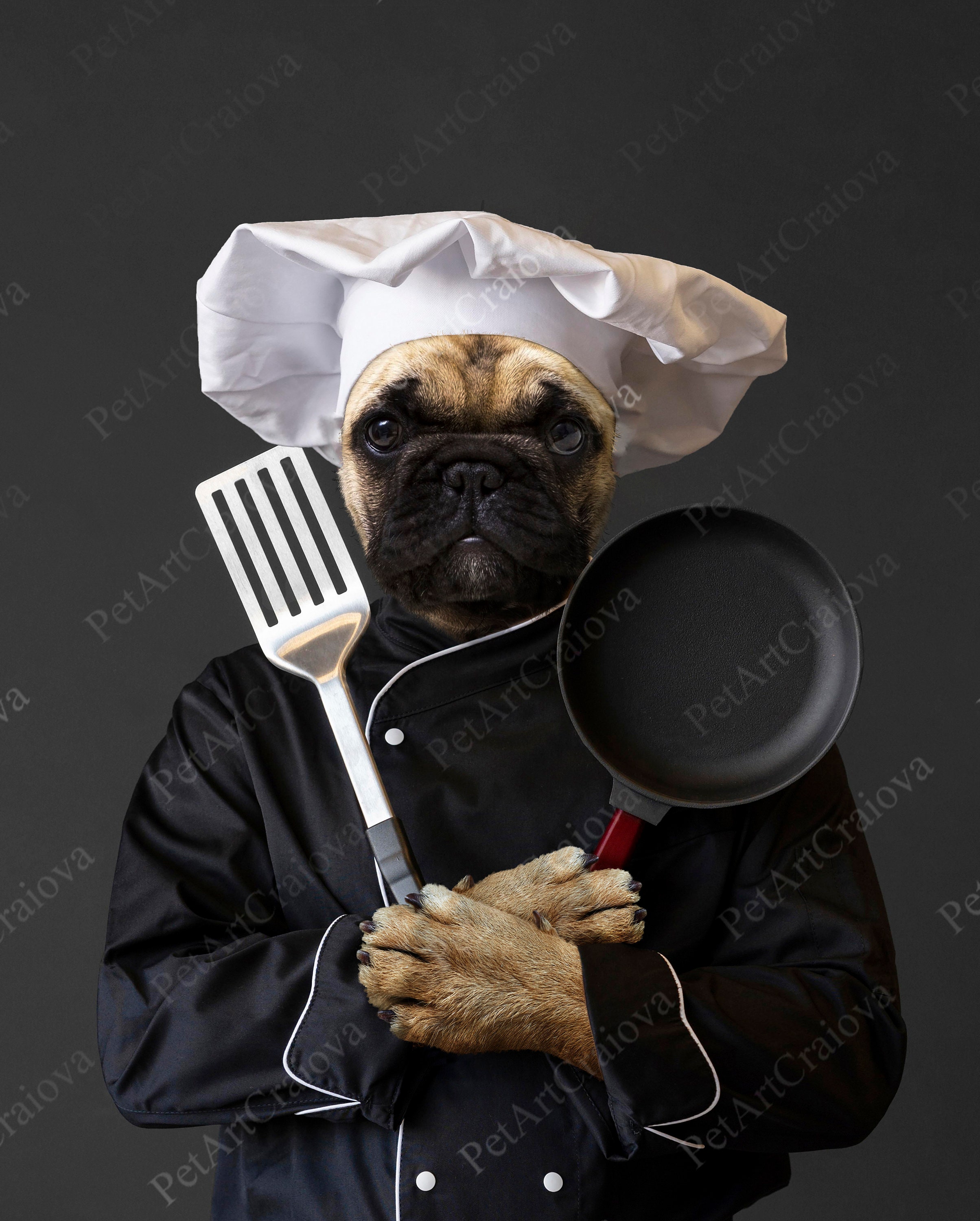 Pet Portrait From Photo, Chef Pet, Custom Dog Portrait, Cat Portrait ...