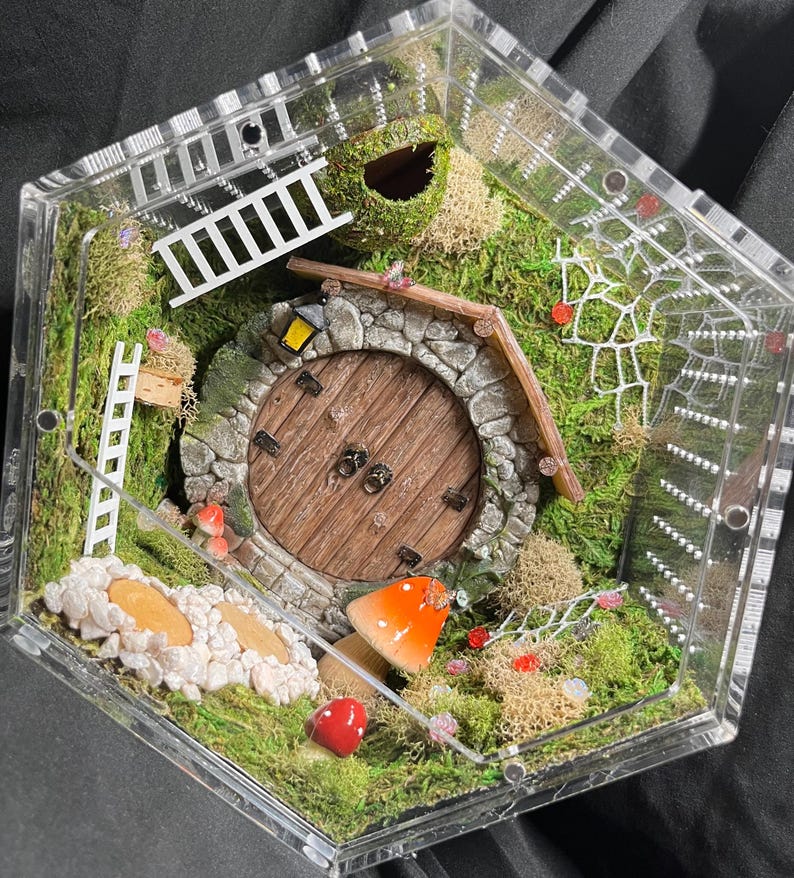 Custom Jumping Spider Enclosure - *DEPOSIT* - *please Read Description ...