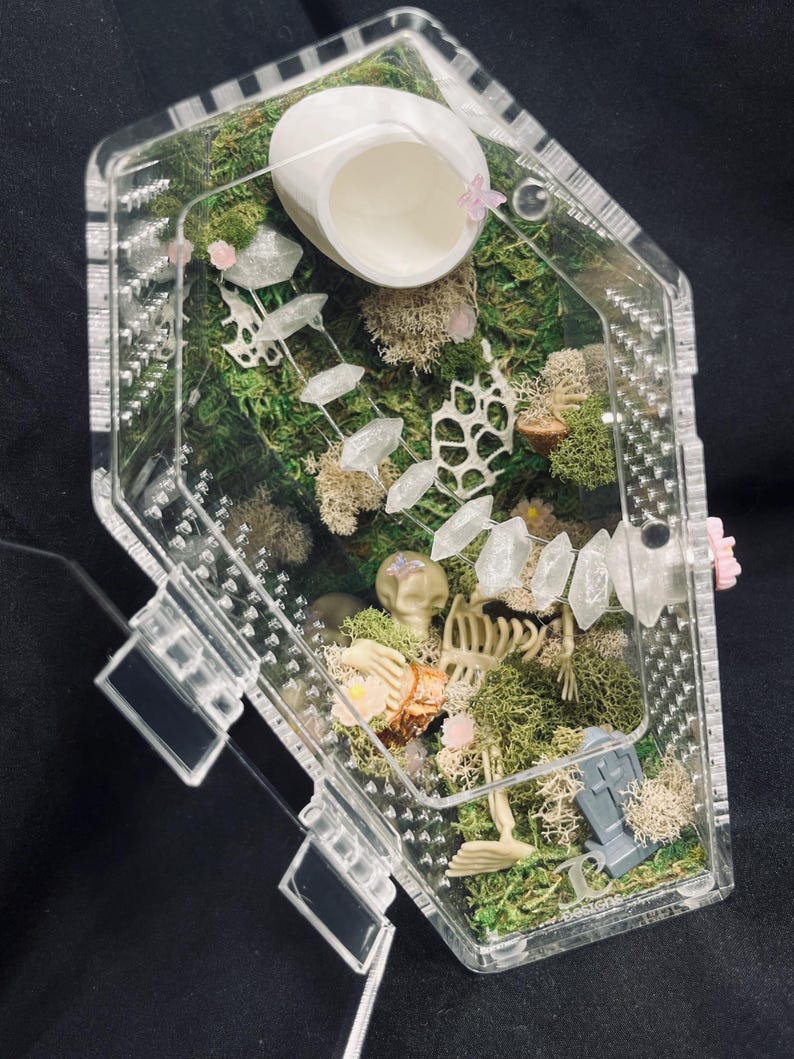 Custom Jumping Spider Enclosure - *DEPOSIT* - *please Read Description ...