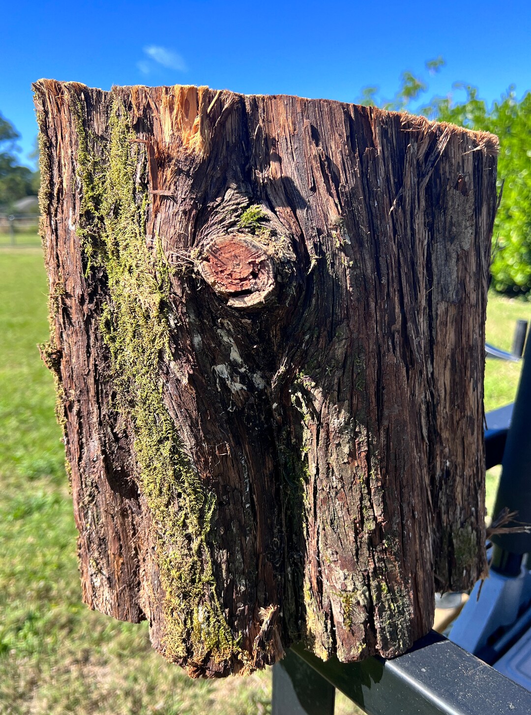 Live Edge Cedar Stump - Etsy
