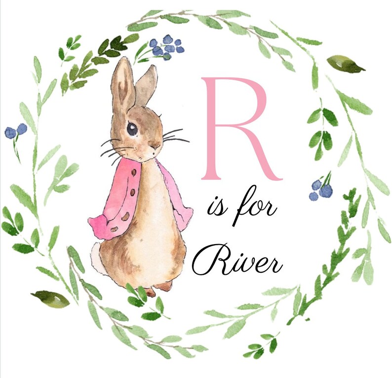 Peter Rabbit Digital Design for Download and Personal Use - Etsy